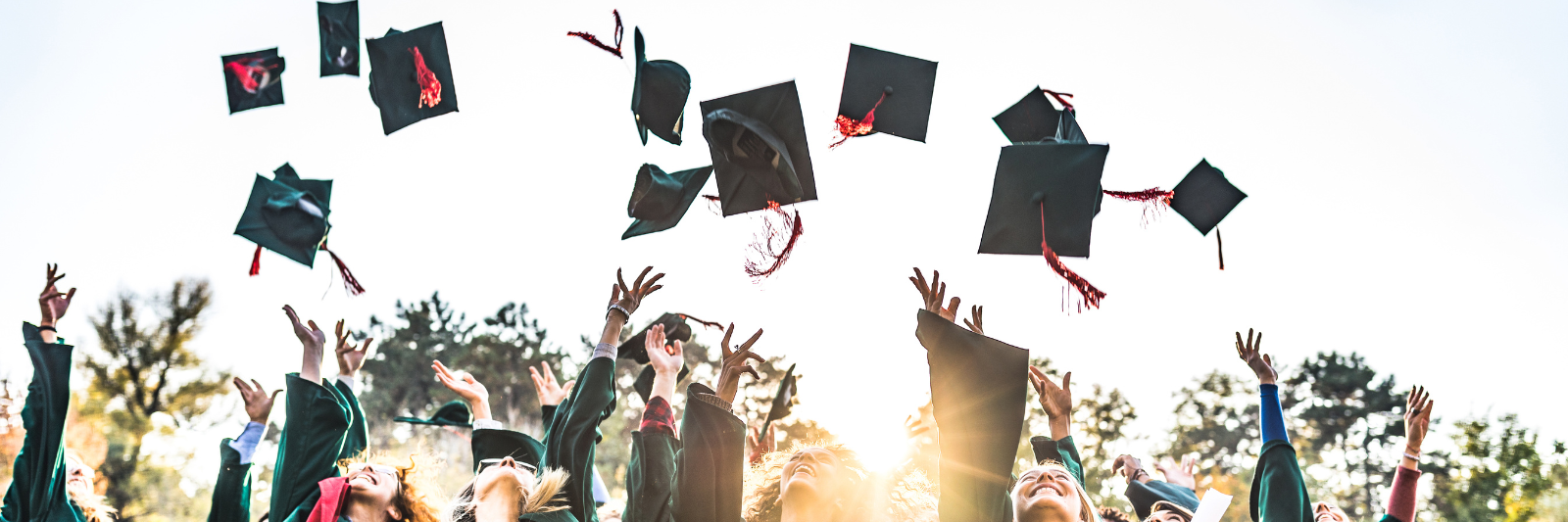 Student Bursary | County of Northern Lights